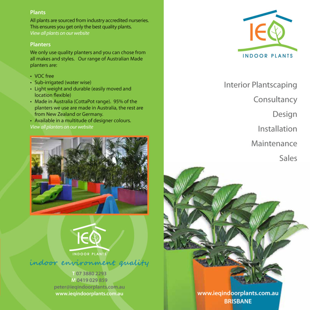 Blog and Post Overview - IEQ Indoor Plant Hire - Brisbane